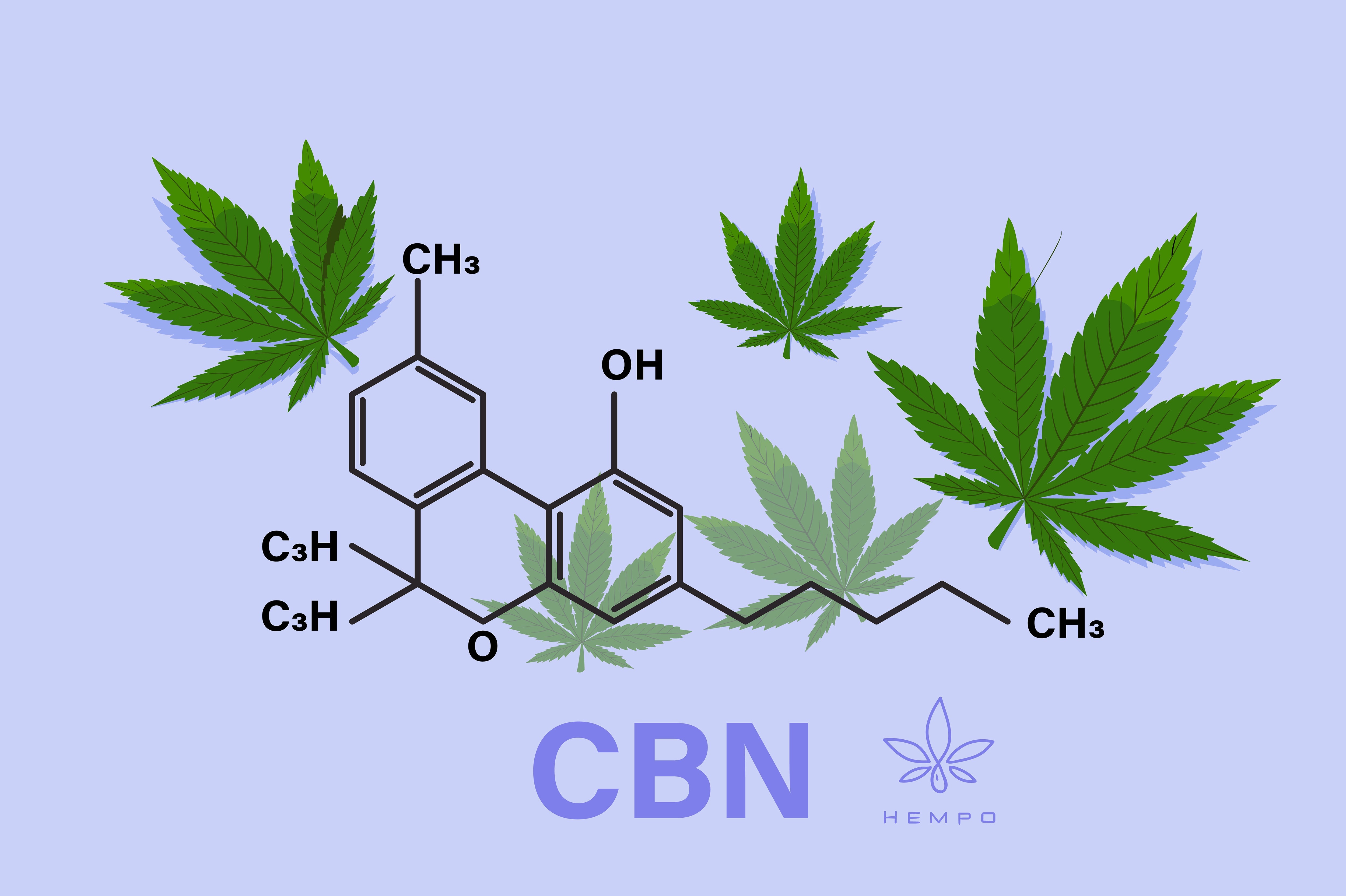 What is CBN or CBN oil? | Hempo